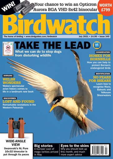 Birdwatch Magazine - July 2021 Back Issue
