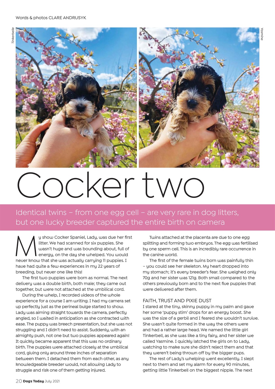 Dogs Today Magazine - July 2021 Subscriptions | Pocketmags