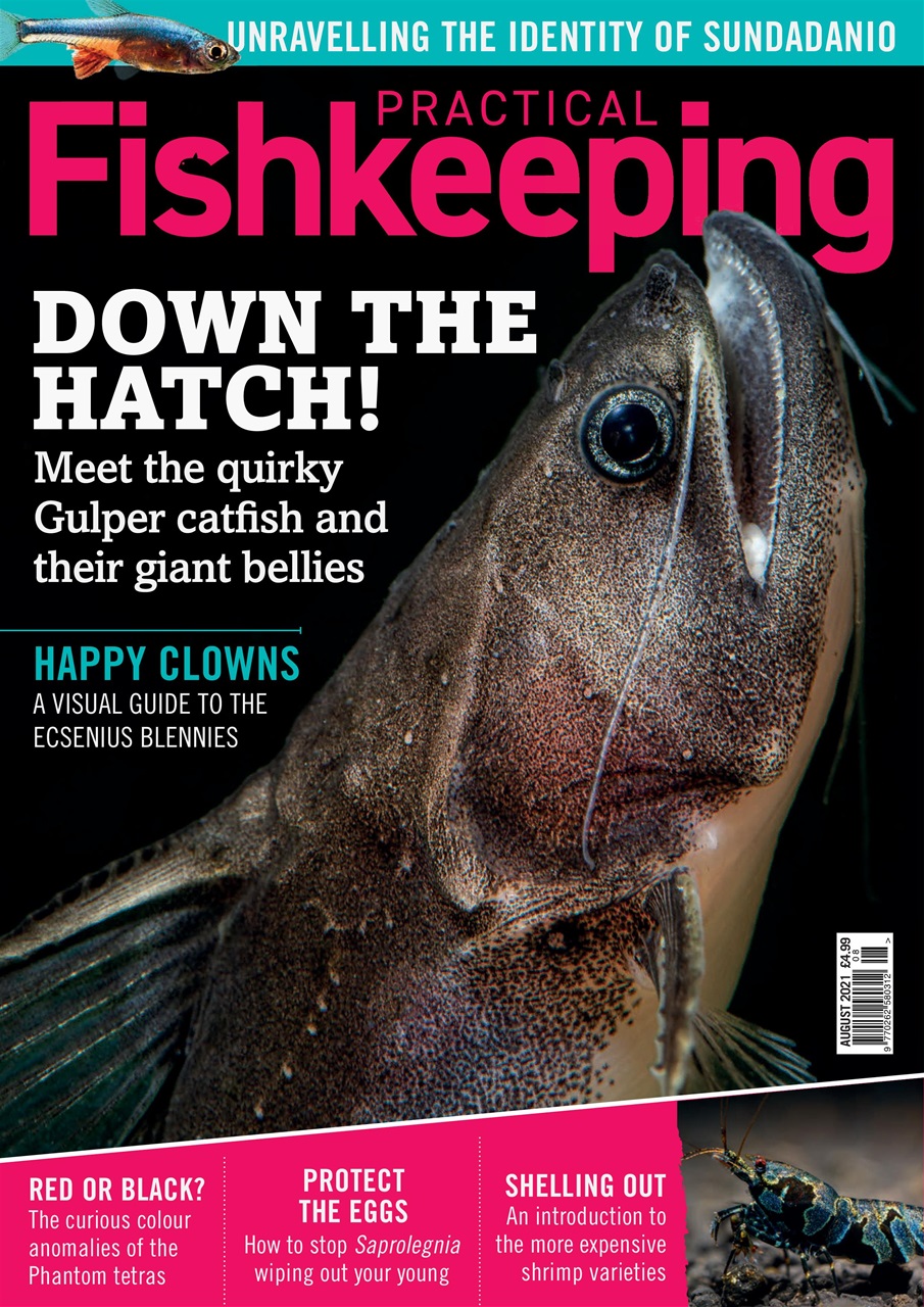 Practical Fishkeeping Magazine - August 2021 Subscriptions | Pocketmags