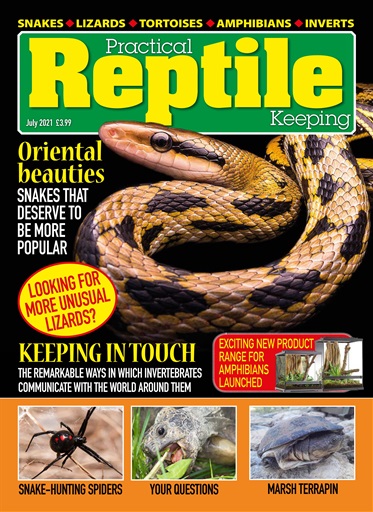 Practical Reptile Keeping Magazine - July 2021 Back Issue Practical Reptile Keeping Magazine - July 2021 Back Issue