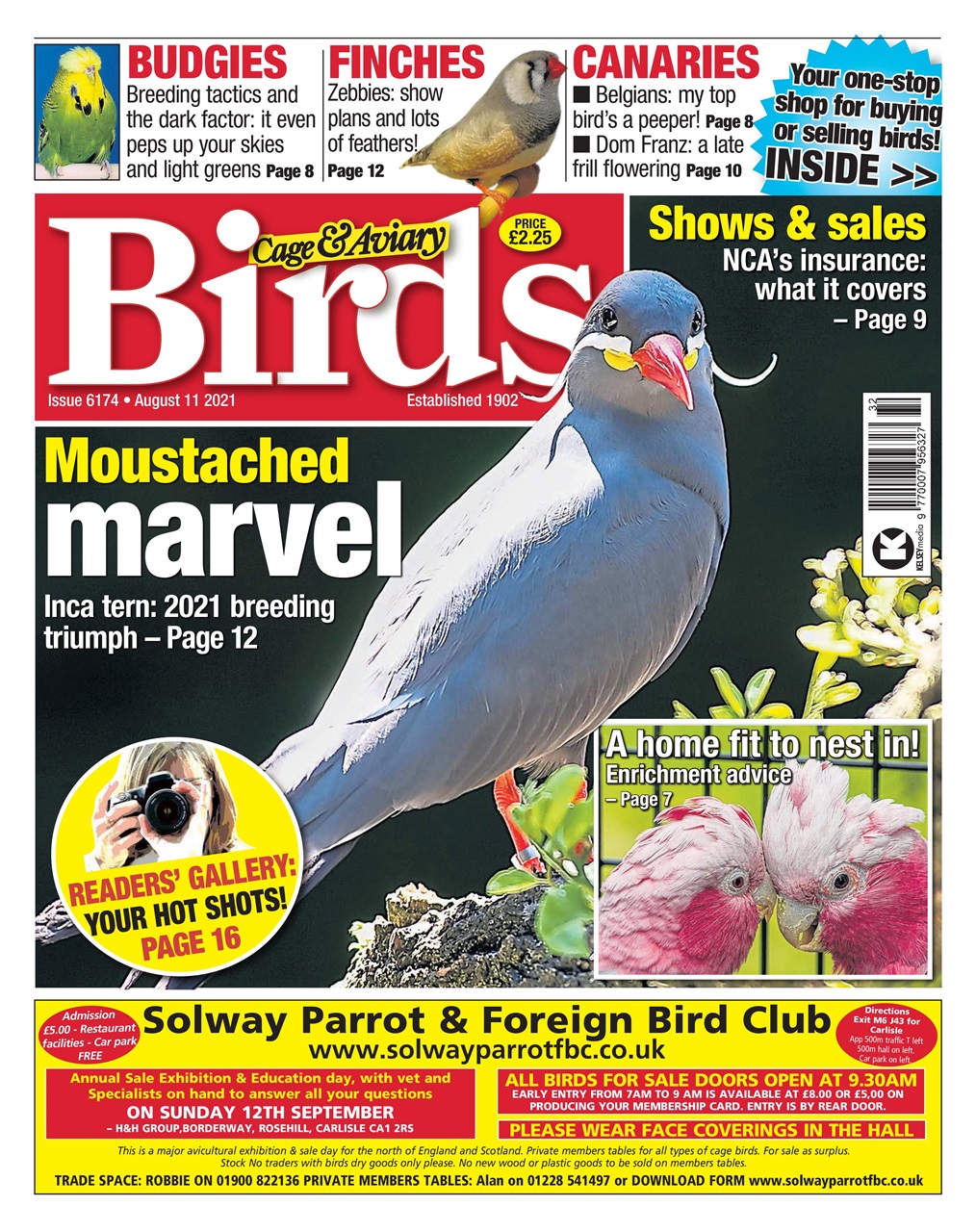 Cage & Aviary Birds Magazine - 11/08/2021 Subscriptions | Pocketmags