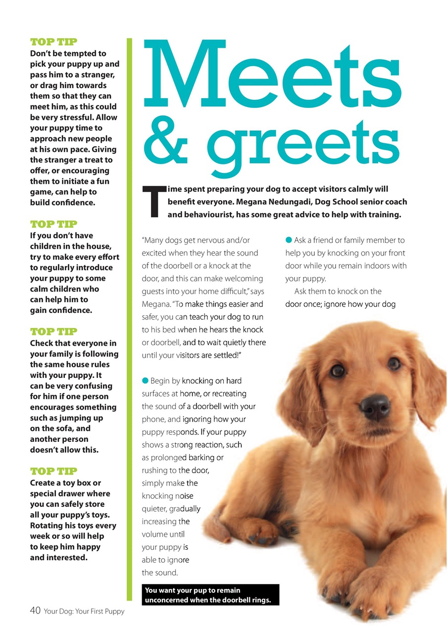 Your Dog Magazine - Your First Puppy Special Issue