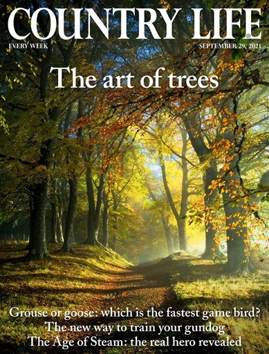 Country Life Magazine - 29-Sep-2021 Back Issue