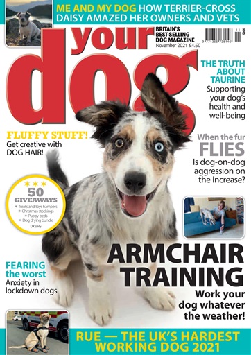 Your Dog Magazine - Your Dog Magazine November 2021 Back Issue