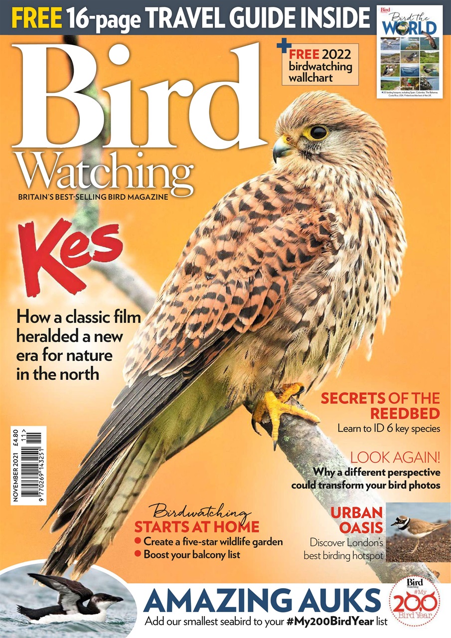 Bird Watching Magazine - November 2021 Back Issue