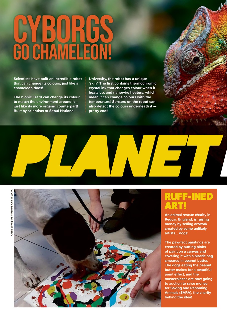 Animal Planet Kids Magazine - Issue 10 Back Issue