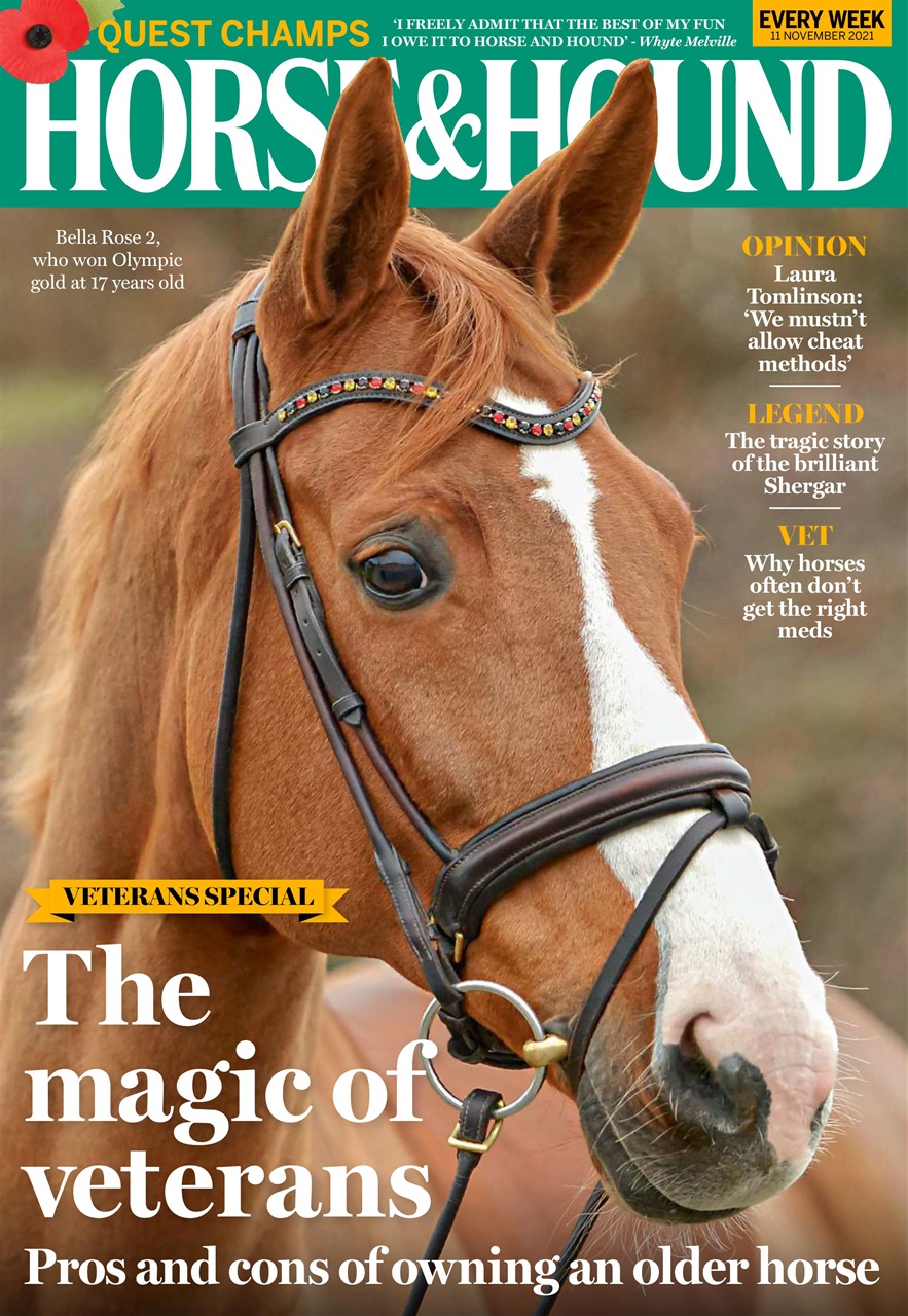 Horse & Hound Magazine - 11-Nov-2021 Back Issue