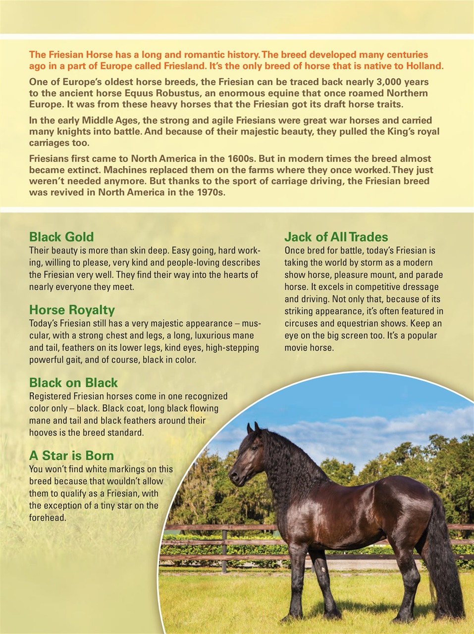 Blaze Magazine For Horse Crazy Kids - Fall 2021 Back Issue