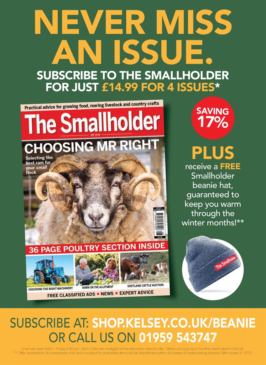 Practical Pigs Magazine - Winter 2021 Back Issue