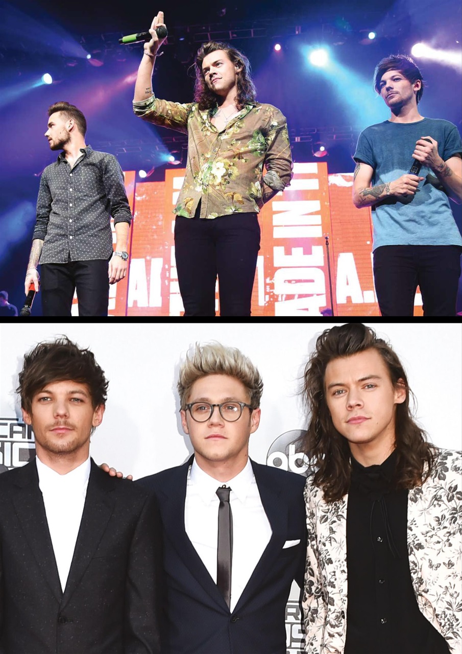 Music Magazine - The One Direction Fanbook 1st Ed. Back Issue