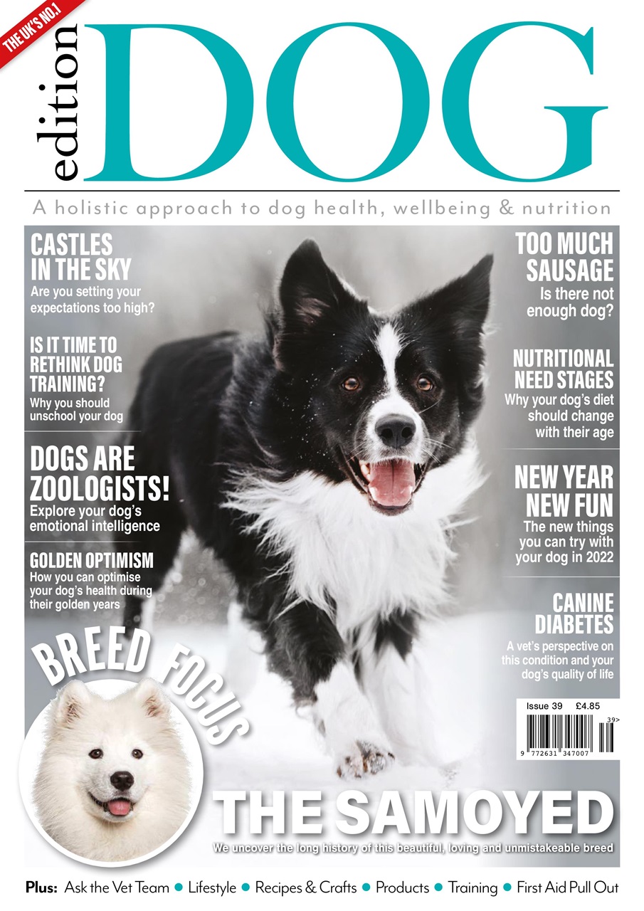 Edition Dog Magazine - Edition Dog Issue 39 Back Issue