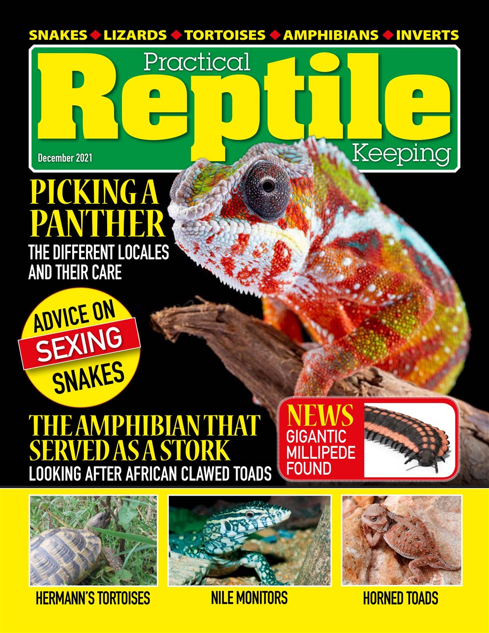 Practical Reptile Keeping Magazine - December 2021 Back Issue