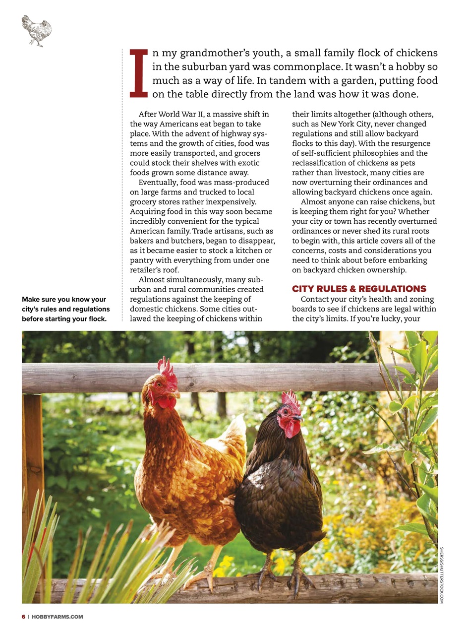 Chickens Magazine - Backyard Chickens Special Issue