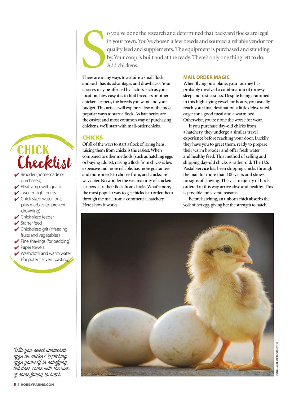 Chickens Magazine - Chickens 101 Special Issue