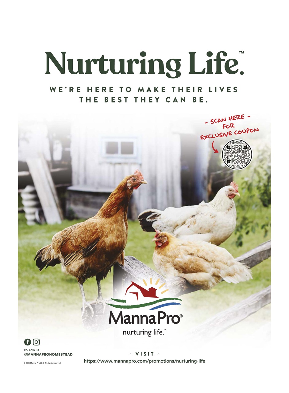 Chickens Magazine - Chickens 101 Special Issue