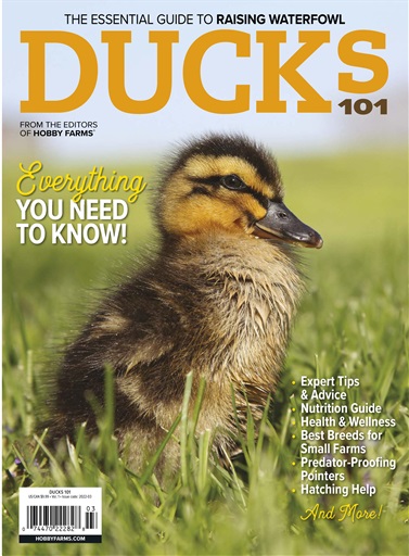 Chickens Magazine - Ducks 101 Special Issue