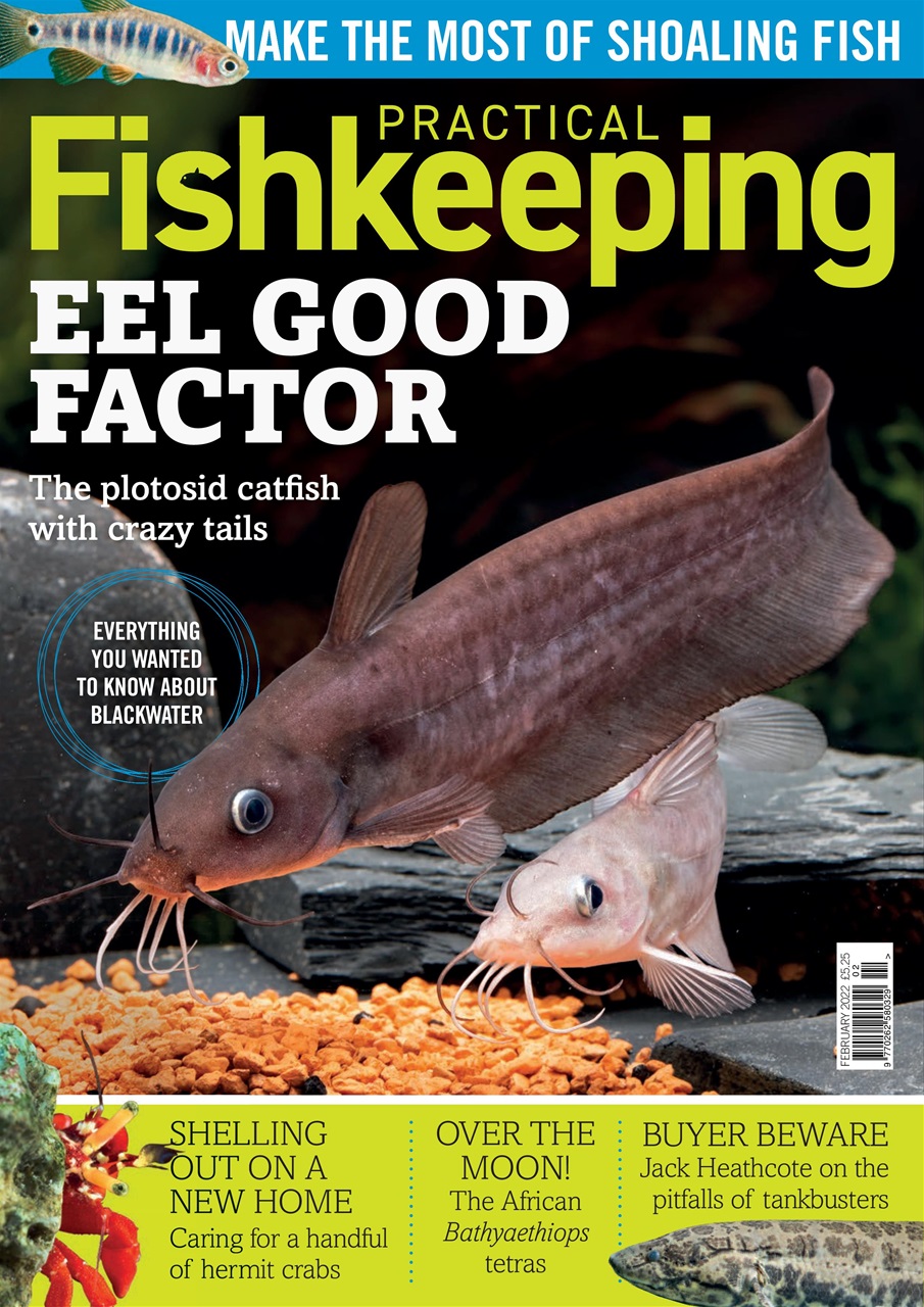 Practical Fishkeeping Magazine - Practical Fishkeeping Magazine ...