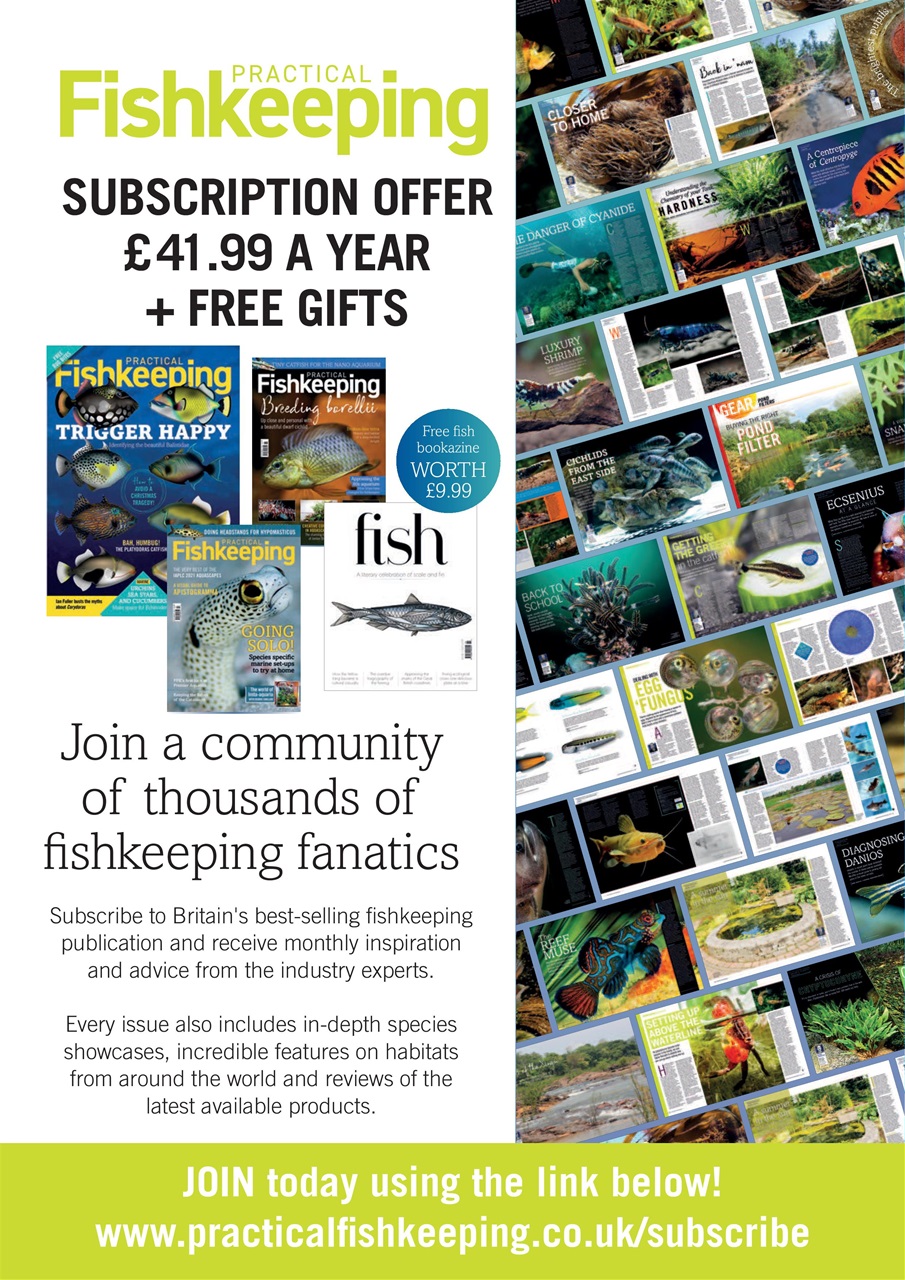 Practical Fishkeeping Magazine - Practical Fishkeeping Magazine ...