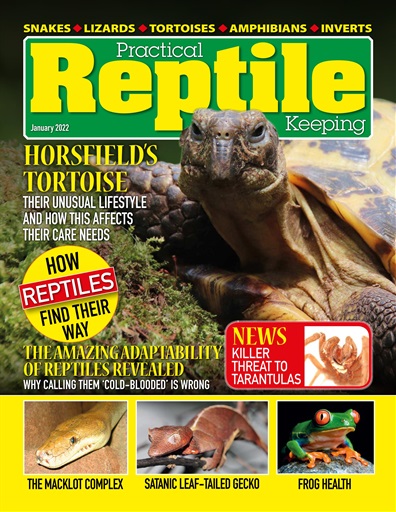 Practical Reptile Keeping Magazine - January 2022 Back Issue