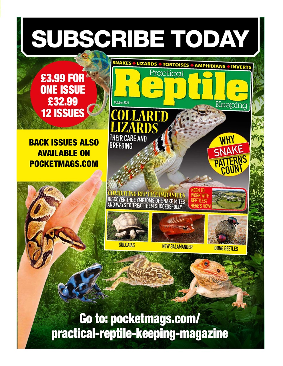Practical Reptile Keeping Magazine - Amazing Discoveries Volume 2 ...
