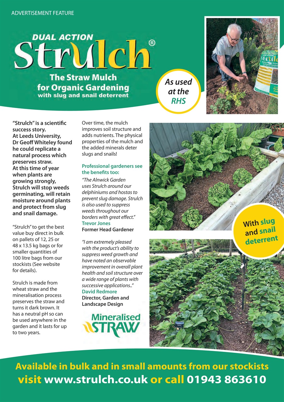 Kitchen Garden Magazine - ‘How to’… Grow veg Special Issue