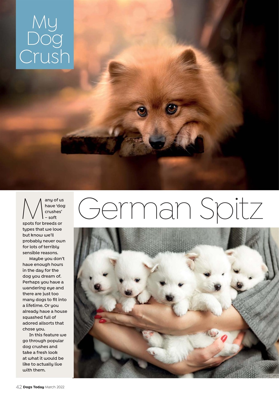 Dogs Today Magazine - March 2022 Back Issue