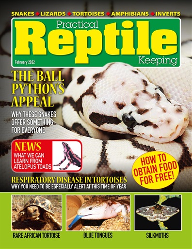 Practical Reptile Keeping Magazine - February 2022 Back Issue