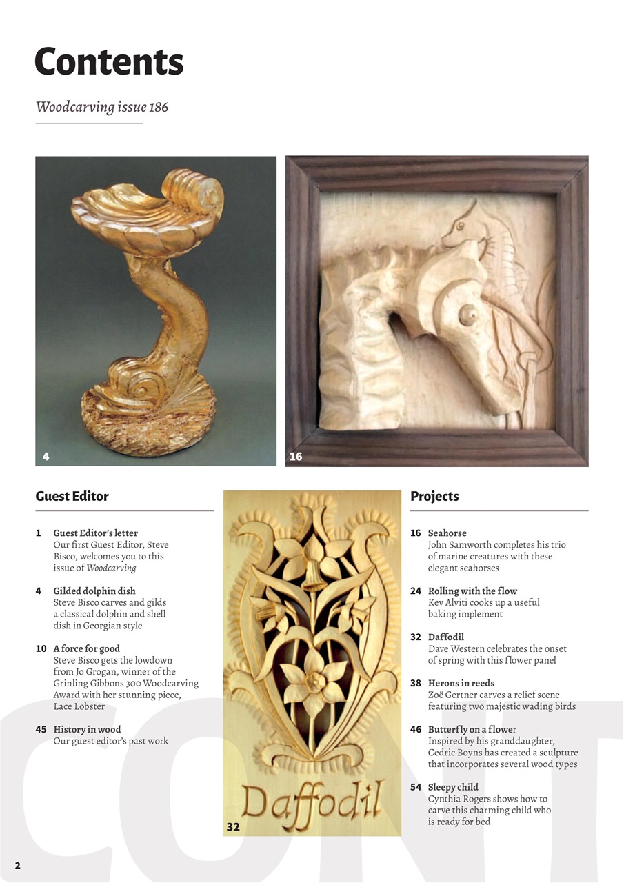 Woodcarving Magazine - Issue 186 Subscriptions | Pocketmags