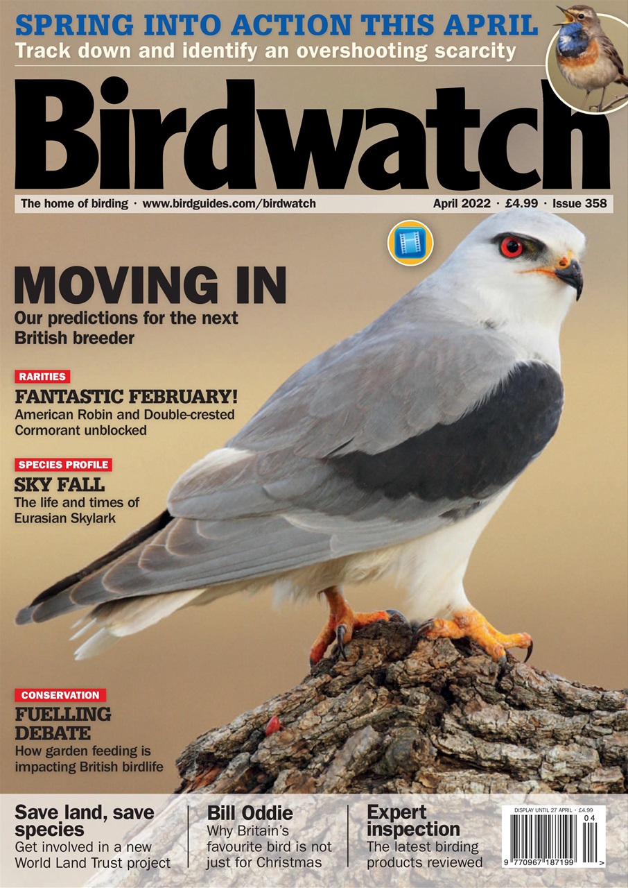 Birdwatch Magazine - April 2022 Subscriptions | Pocketmags