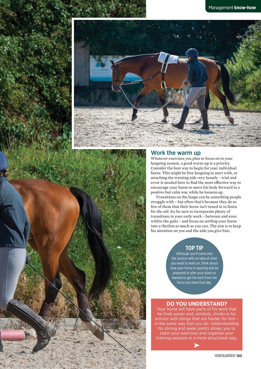 Horse&Rider Magazine - UK equestrian magazine for Horse and Rider ...