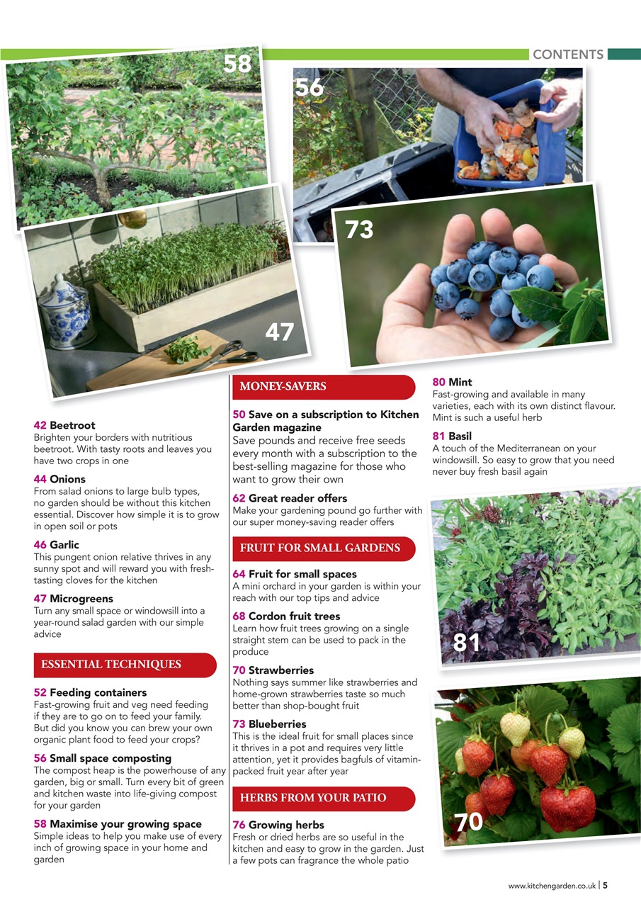 Kitchen Garden Magazine - ‘How to’… Grow Patio Veg Special Issue