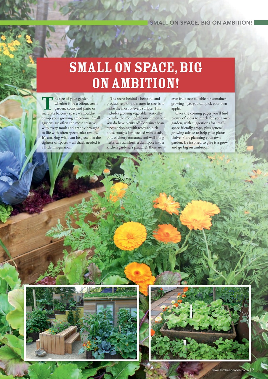 Kitchen Garden Magazine - ‘How to’… Grow Patio Veg Special Issue