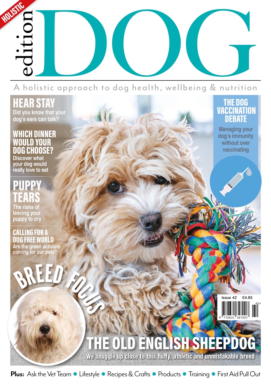 Edition Dog Magazine - Edition Dog Issue 42 Back Issue