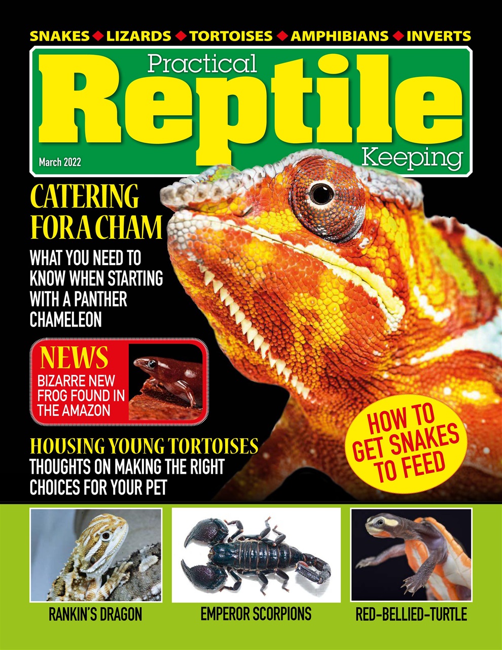 Practical Reptile Keeping Magazine - March 2022 Back Issue
