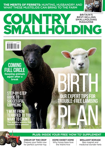 The Country Smallholder Magazine - March 2021 Back Issue
