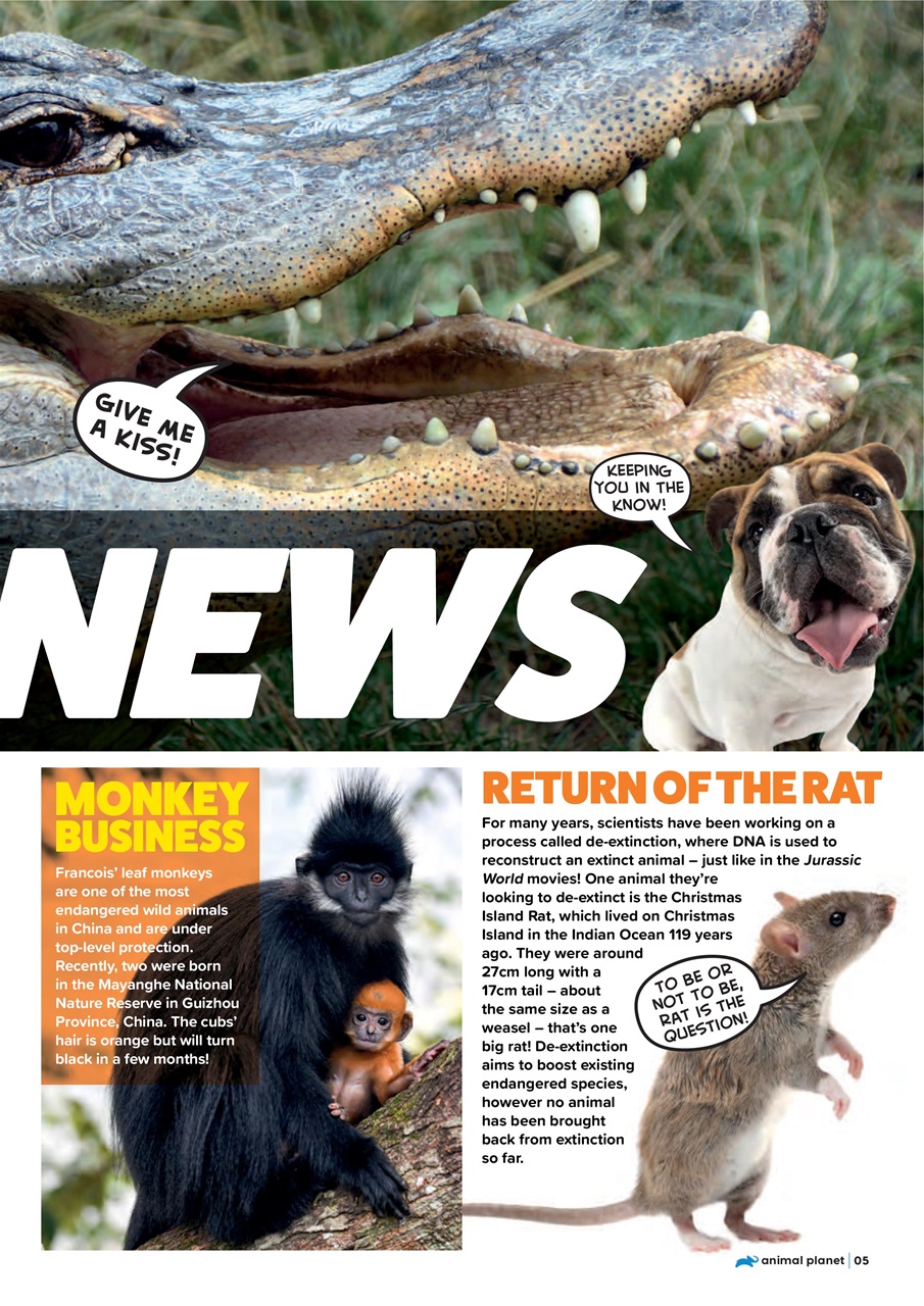 Animal Planet Kids Magazine - Issue 18 Back Issue