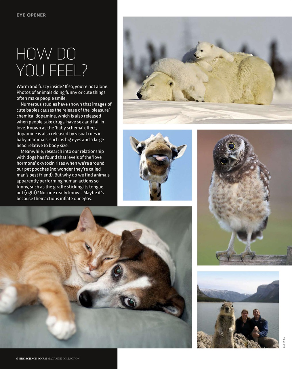 BBC Science Focus Magazine - The Science Of Happiness Special Issue