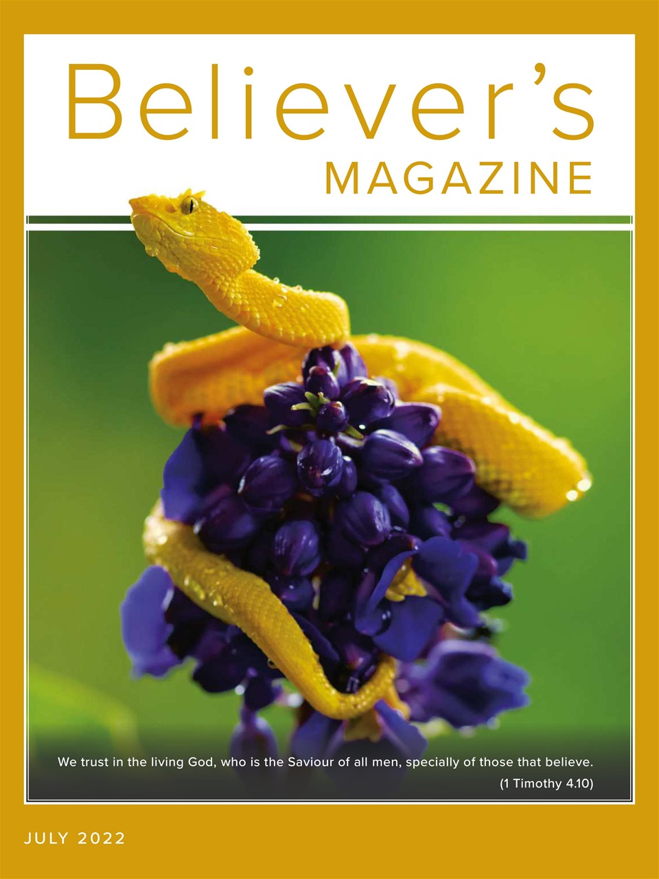 Believer's Magazine - July 2022 Subscriptions | Pocketmags
