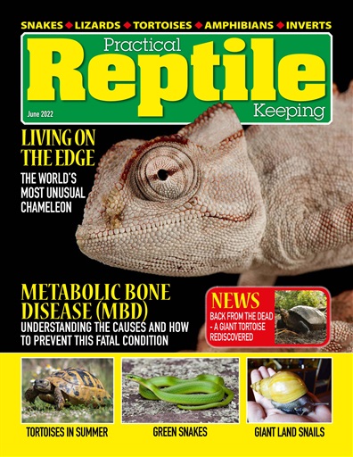 Practical Reptile Keeping Magazine - June 2022 Subscriptions | Pocketmags