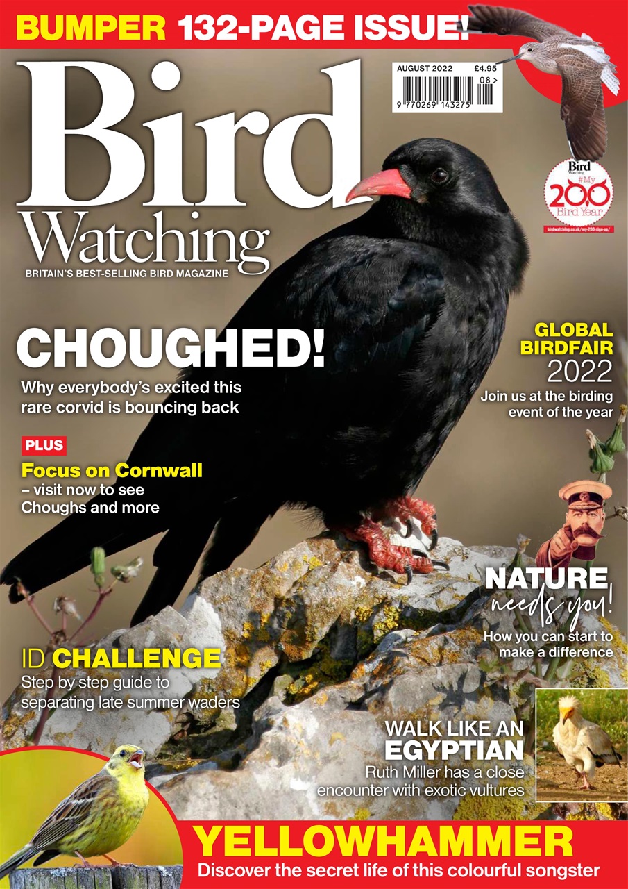 Bird Watching Magazine - Aug-22 Subscriptions | Pocketmags