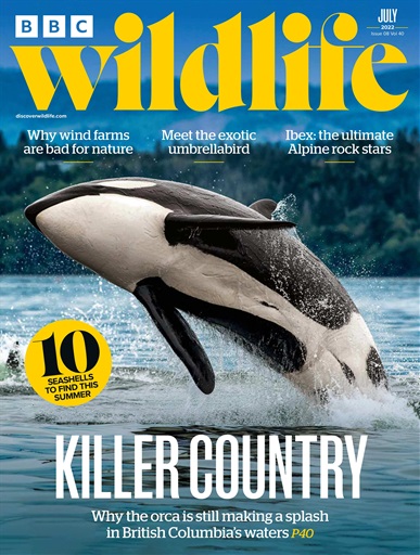 BBC Wildlife Magazine - Jul-22 Subscriptions | Pocketmags