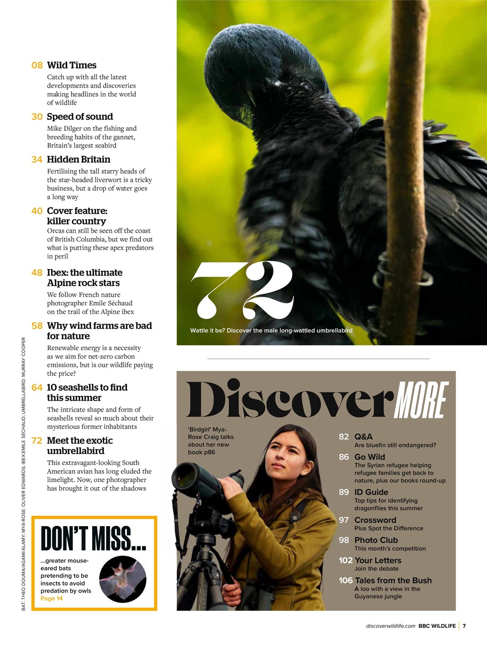 BBC Wildlife Magazine - Jul-22 Subscriptions | Pocketmags