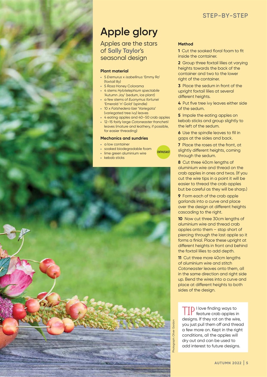The Flower Arranger Magazine - Autumn 2022 Subscriptions | Pocketmags
