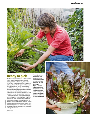 BBC Gardeners’ World Magazine - August 2022 Subscriptions | Pocketmags