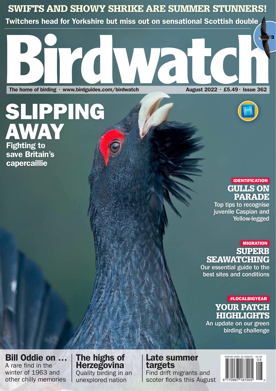 Birdwatch Magazine - August 2022 Subscriptions | Pocketmags