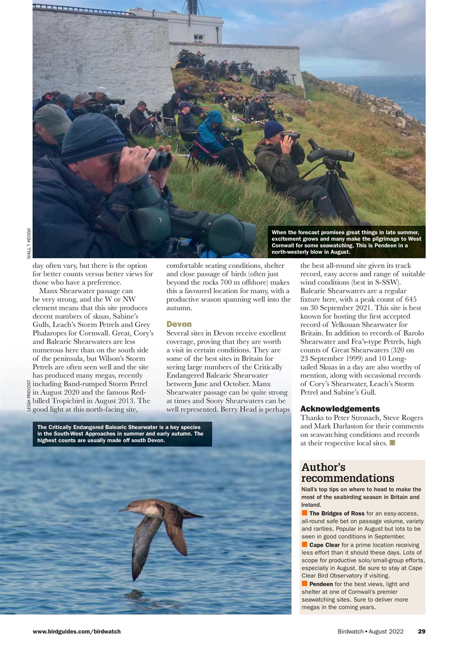 Birdwatch Magazine - August 2022 Subscriptions | Pocketmags