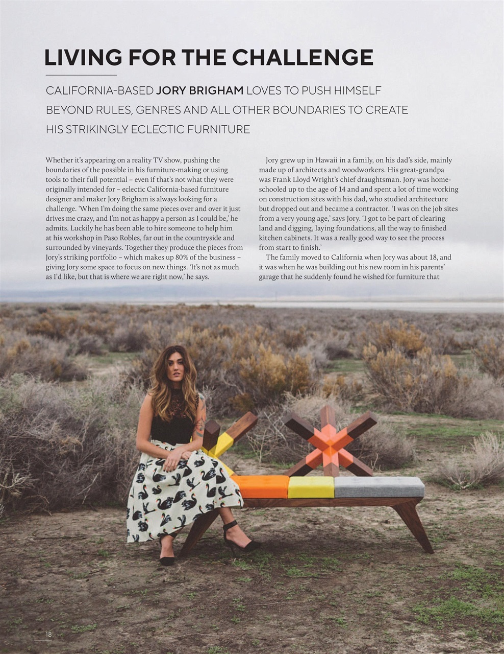 Furniture & Cabinetmaking Magazine - Issue 307 Subscriptions | Pocketmags