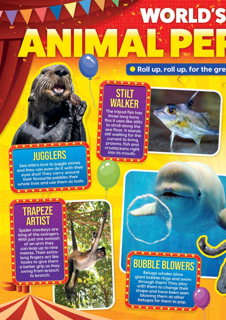 Animal Planet Kids Magazine - Issue 20 Back Issue