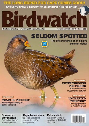 Birdwatch Magazine - September 2022 Subscriptions | Pocketmags