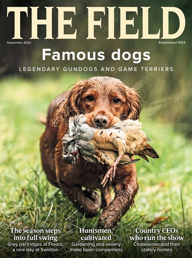 The Field Magazine - FREE Sample Issue Special Issue